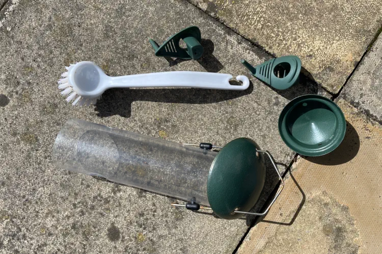 Why You Should Clean Your Hanging Bird Feeders Regularly: Hygiene and ...