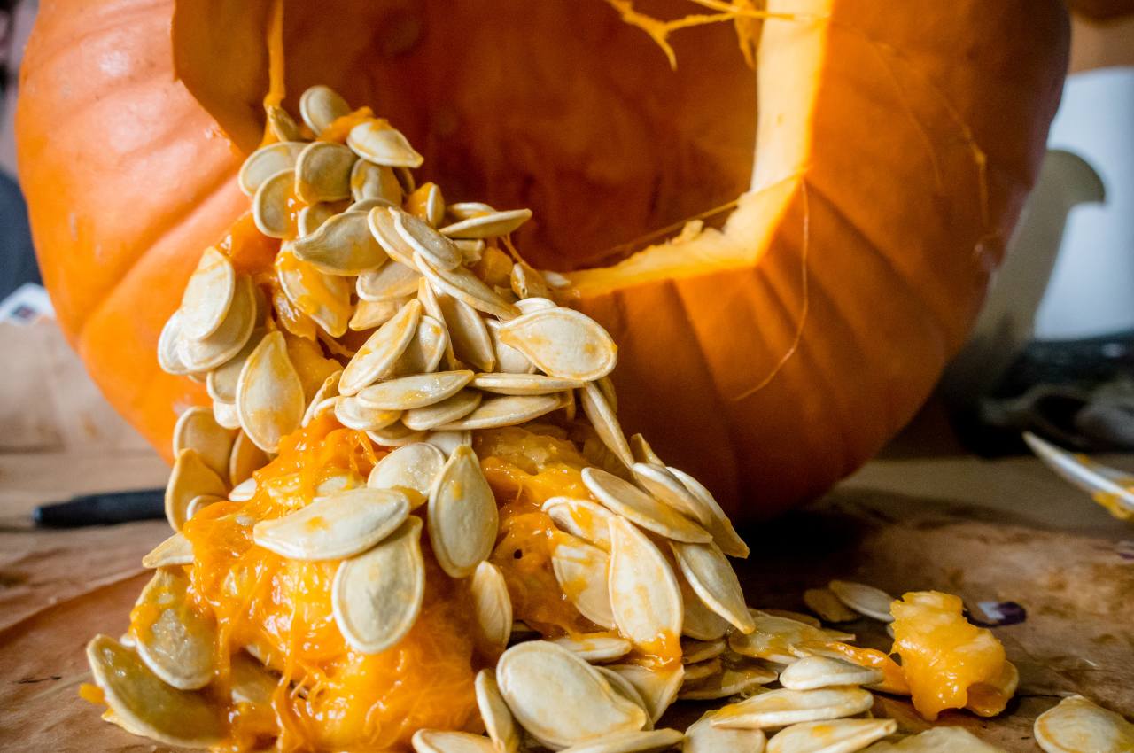 Can Birds Eat Pumpkin Seeds - The Best Way to Feed Them