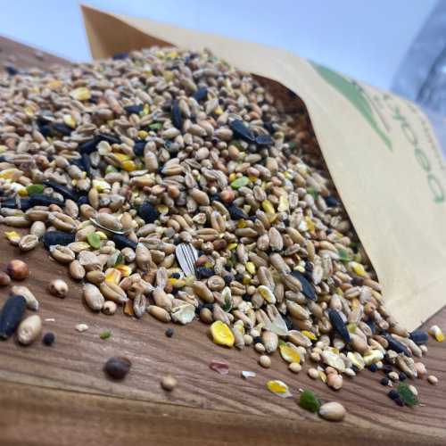 Bird Food, Seed, and Bird Feeders - BeakyBites