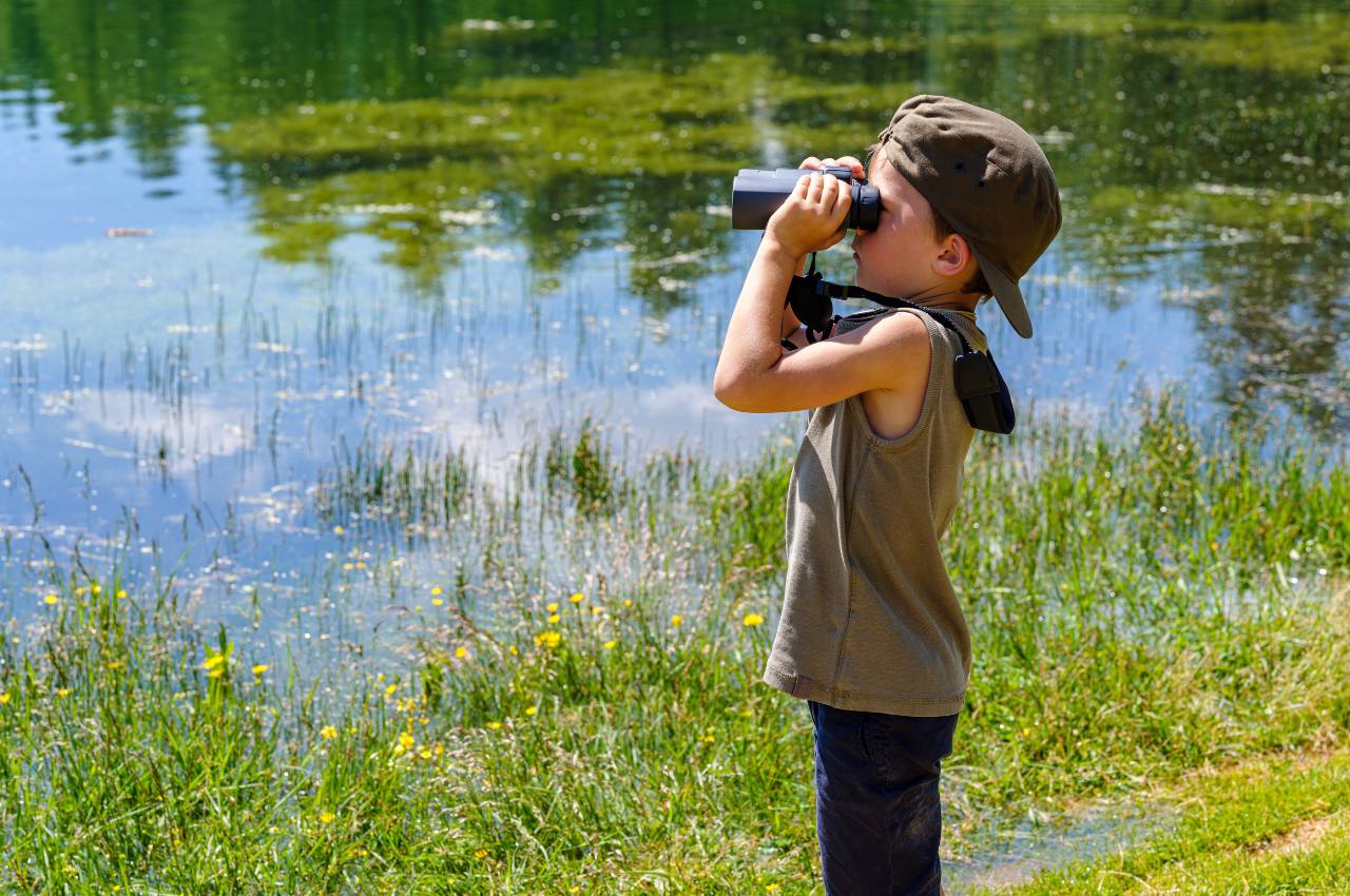 Identify The Top Seaside Birds | Coastal Guide