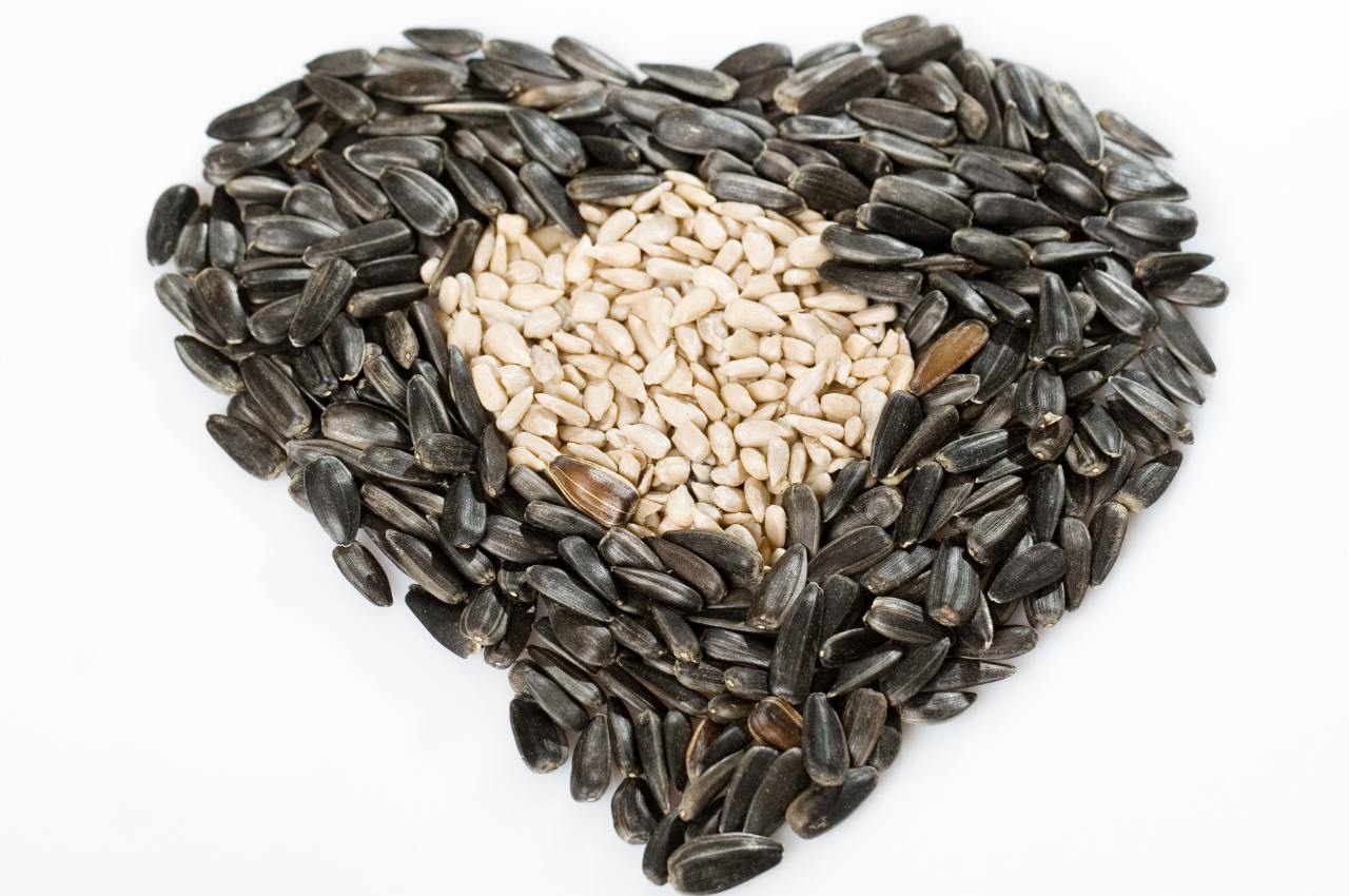 What is a Sunflower Heart and Why Birds Love It