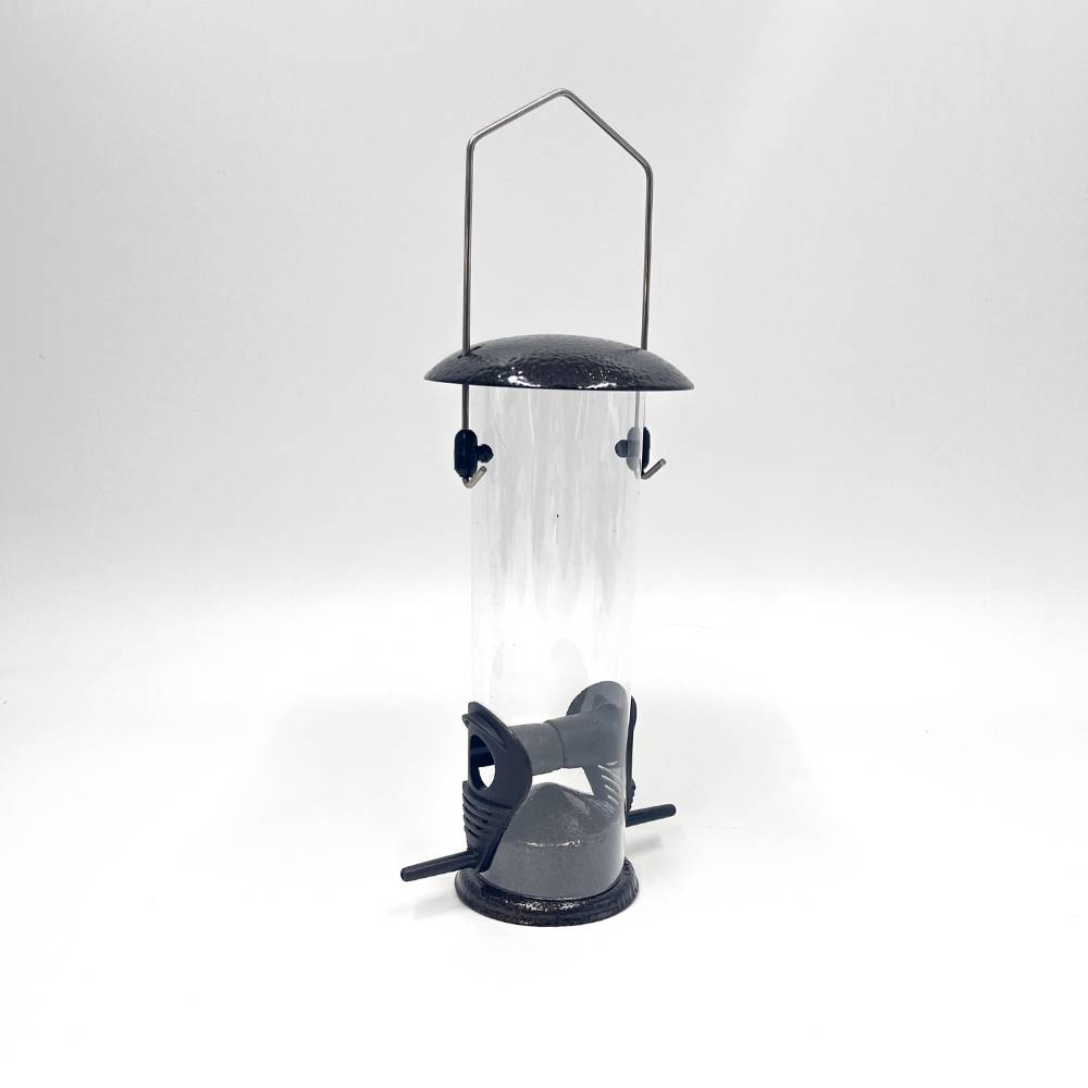 BeakyBites Wagtail Bird Facts