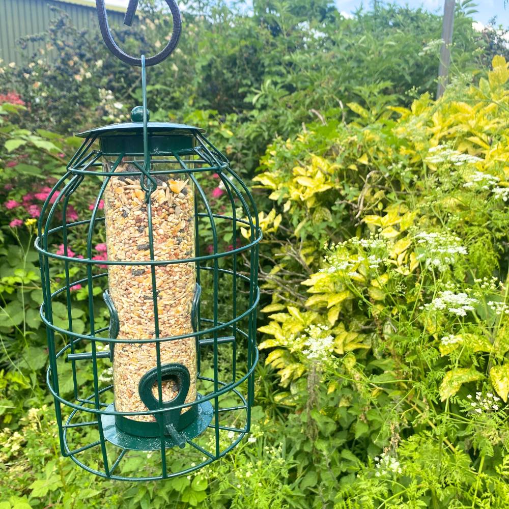BeakyBites Squirrel Proof Seed Feeder