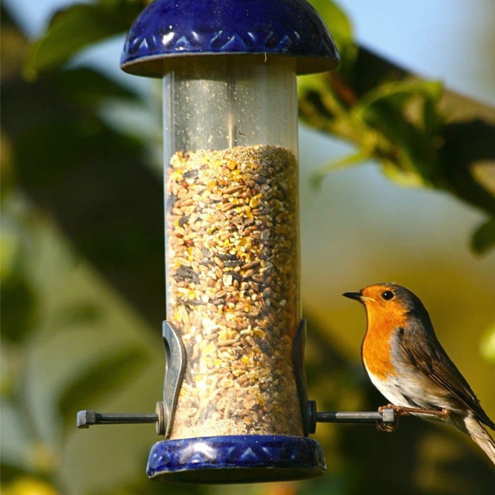 BeakyBites All Season Bird Seed Mix 12.5kg - Large Bag - Bird Seeds