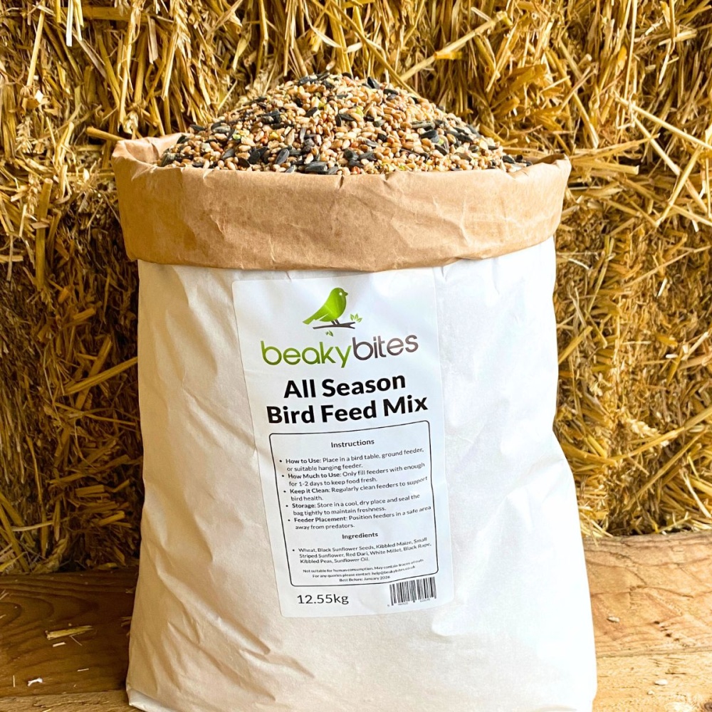 bird feeding in the rain: the secrets to keeping bird seed dry