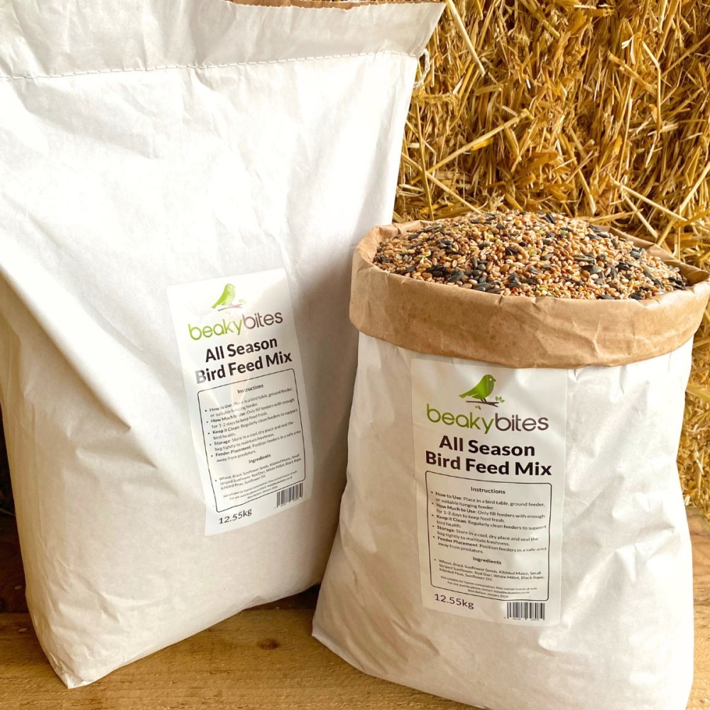 The Tit Family: A Complete Guide to Britain’s Most Charming Garden Birds