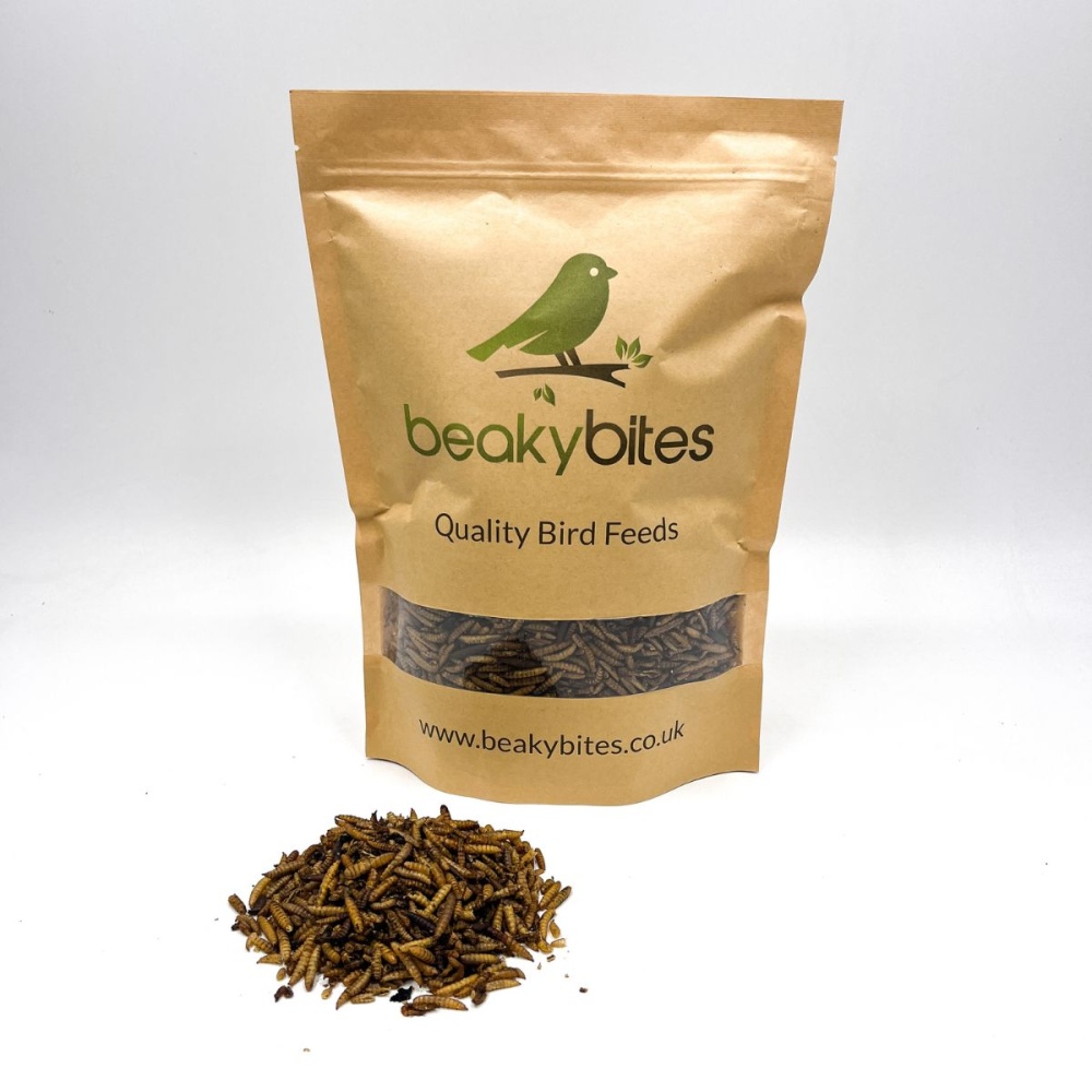 BeakyBites Goldcrest Bird Facts