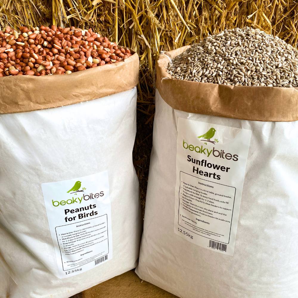 Feeding Peanuts to Birds, Top 10 Tips and Advice