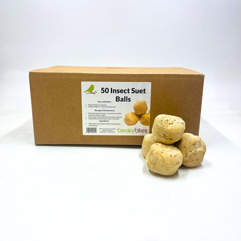 The Complete Guide to Suet Balls, Blocks and Pellets