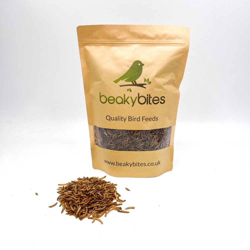 BeakyBites Crested tit Bird Facts