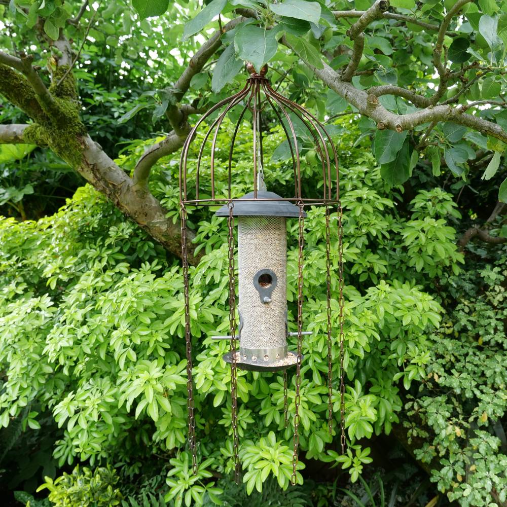 BeakyBites Willow Warbler Bird Facts