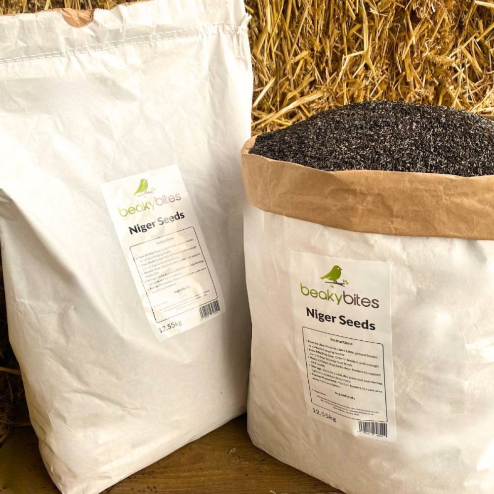 Buy Niger Seeds for Birds: The Finches’ Favourite Food
