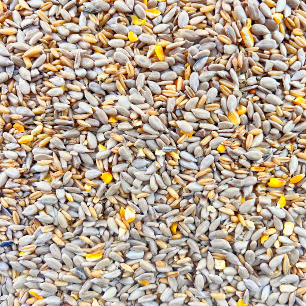 BeakyBites No Mess Bird Seed Mix 12.75kg - Bulk Bag - Bird Seed