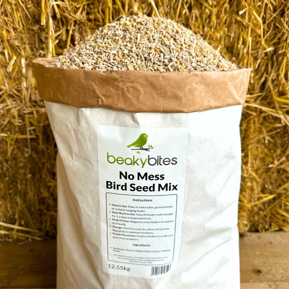 bird feeding in the rain: the secrets to keeping bird seed dry