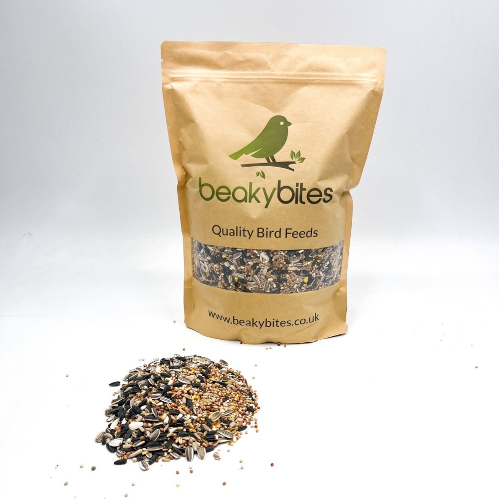 BeakyBites Wagtail Bird Facts