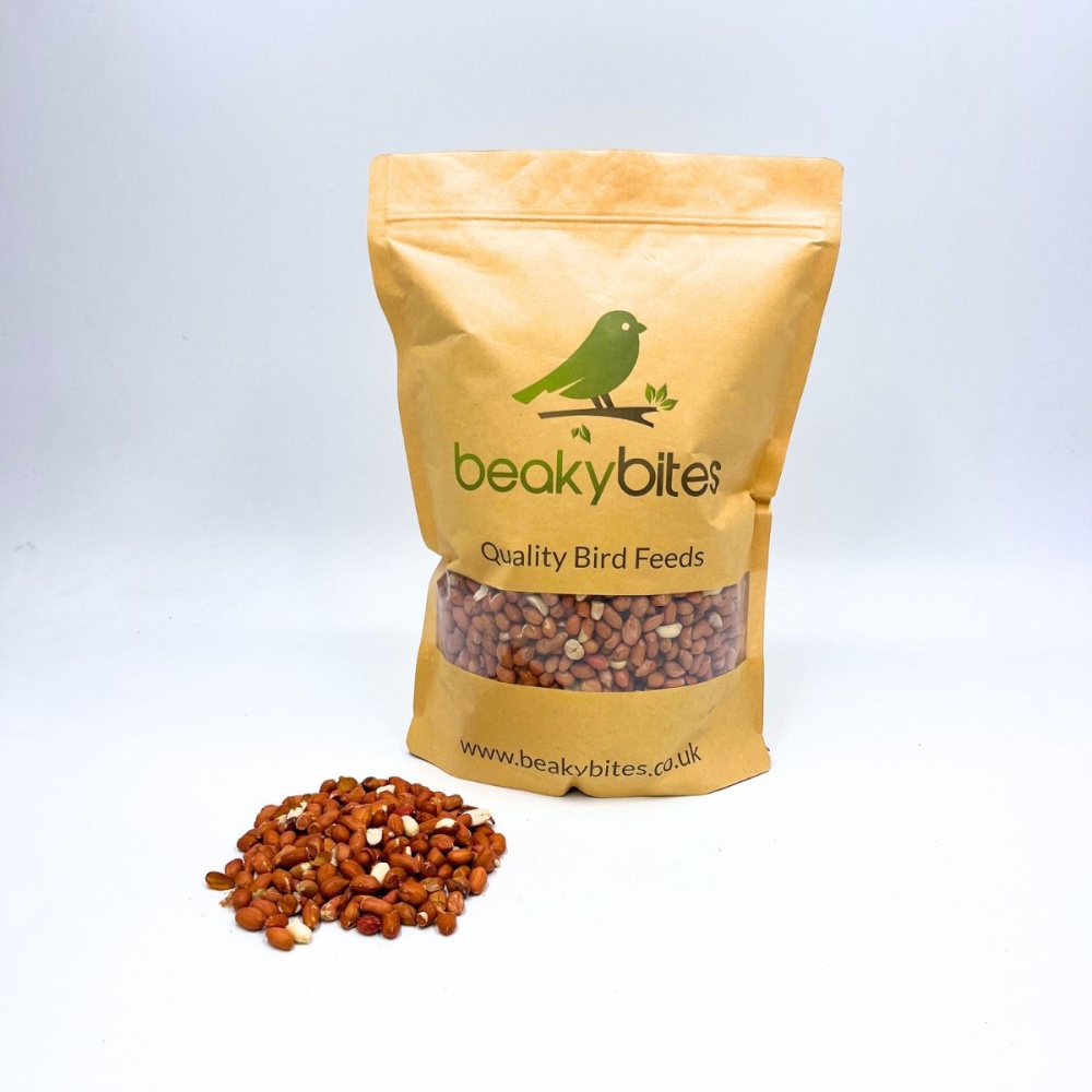 BeakyBites Bullfinch Bird Facts