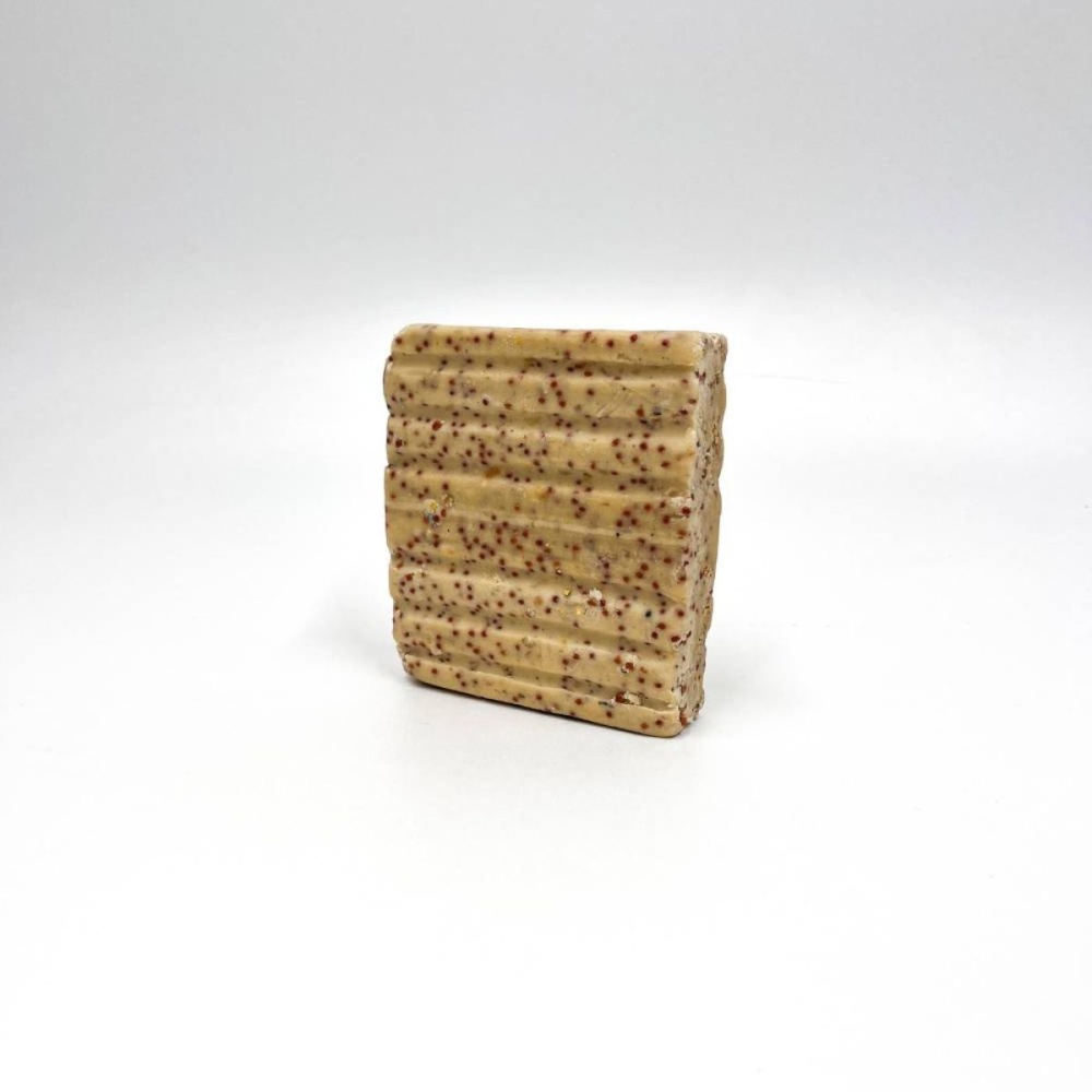 The Complete Guide to Suet Balls, Blocks and Pellets