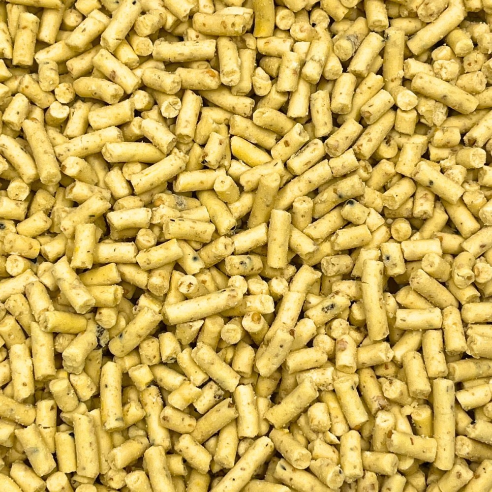 The Complete Guide to Suet Balls, Blocks and Pellets