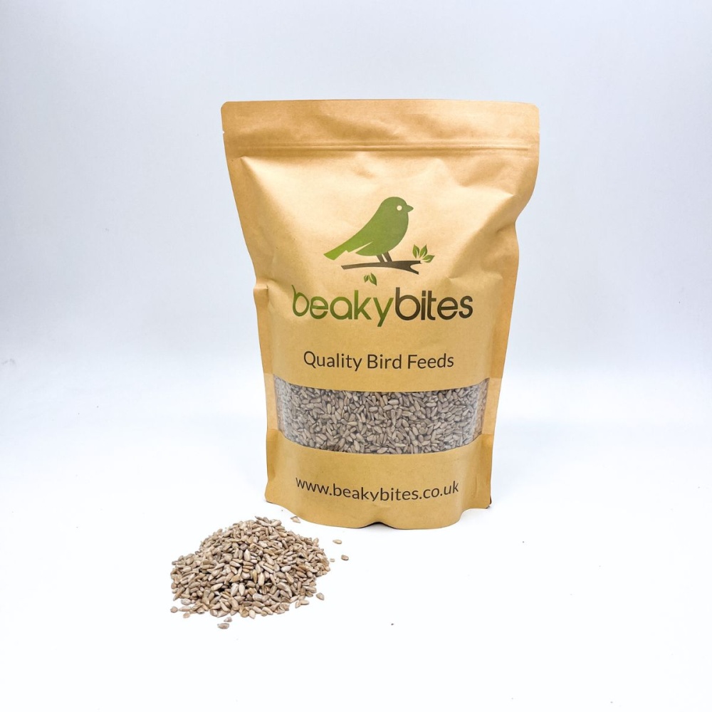 BeakyBites Chaffinch Bird Facts