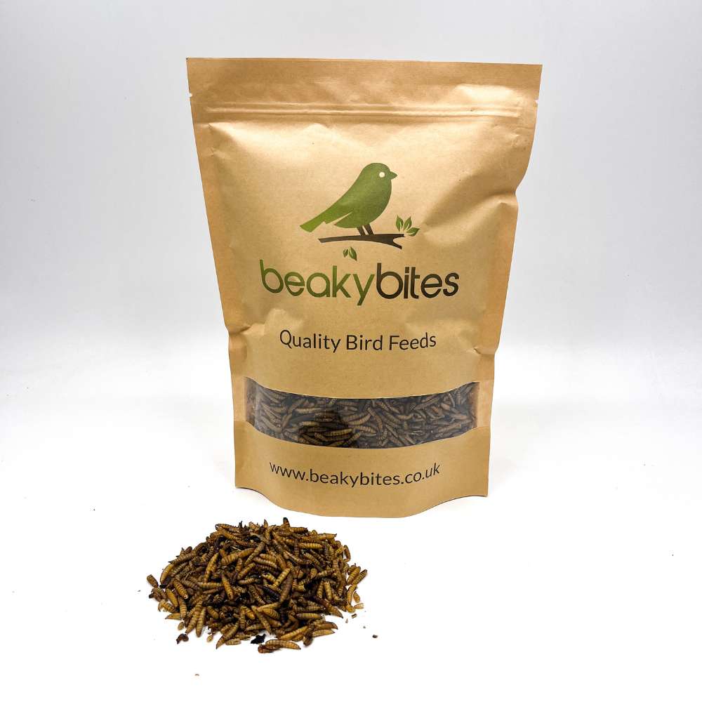 BeakyBites Parakeet Bird Facts