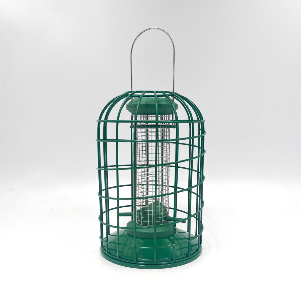 BeakyBites Parakeet Bird Facts