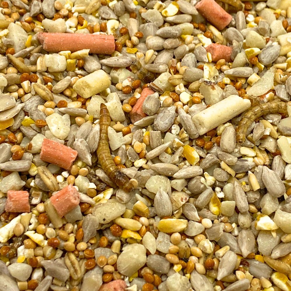 BeakyBites Robin and Song Bird Seed Mix 25kg - Bulk Bag - Bird Food