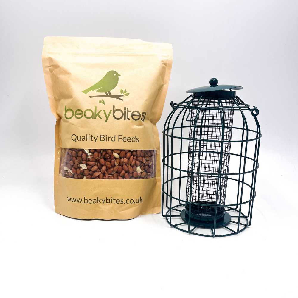 When is the Best Time to put out Bird Food: Seasonal Guides to Bird Feeding