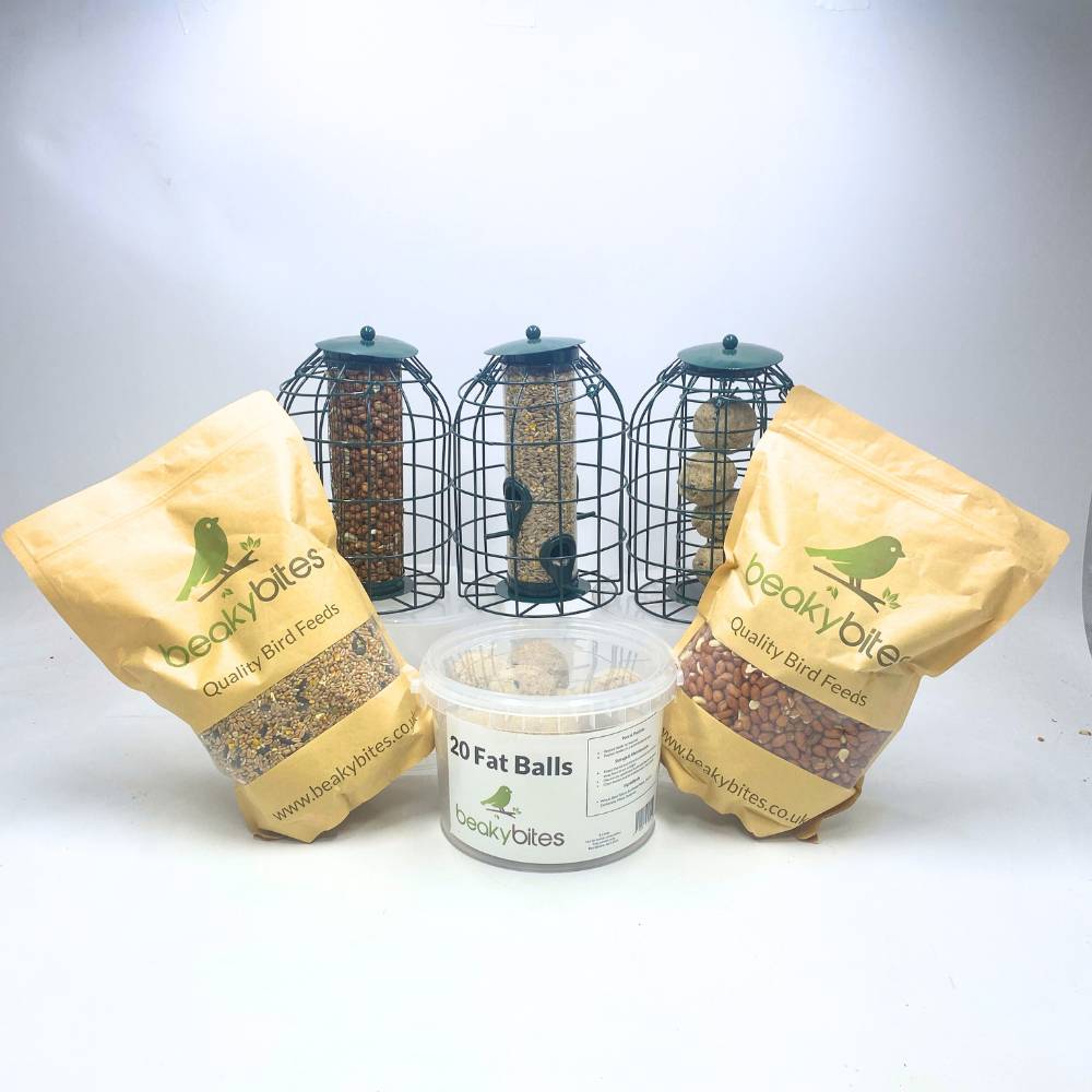 Top Picks: Best Bird Feeders for Small Birds