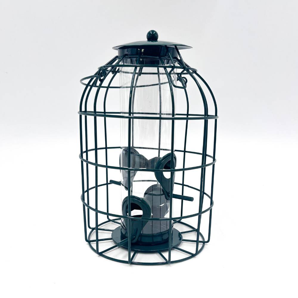 BeakyBites Squirrel Proof Bird Feeders