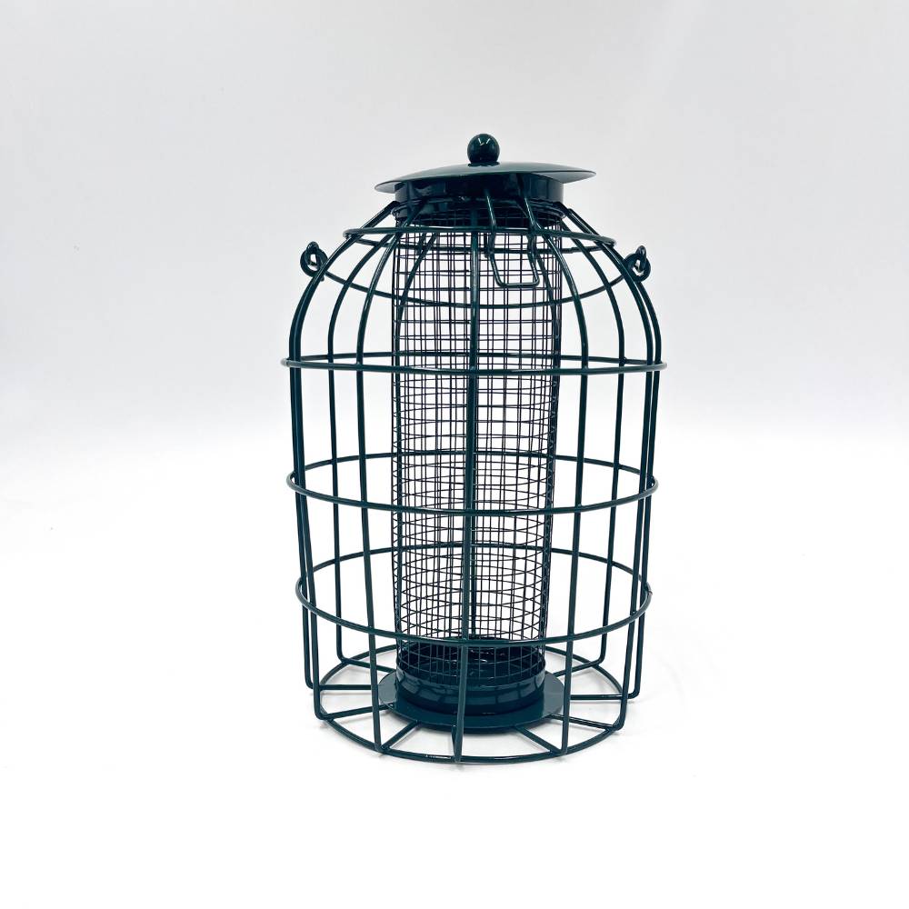 Squirrel Feeder Options for Your Garden Birds