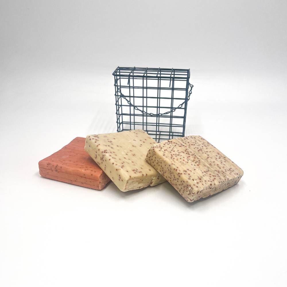 Bird Food, Seed, and Bird Feeders - BeakyBites