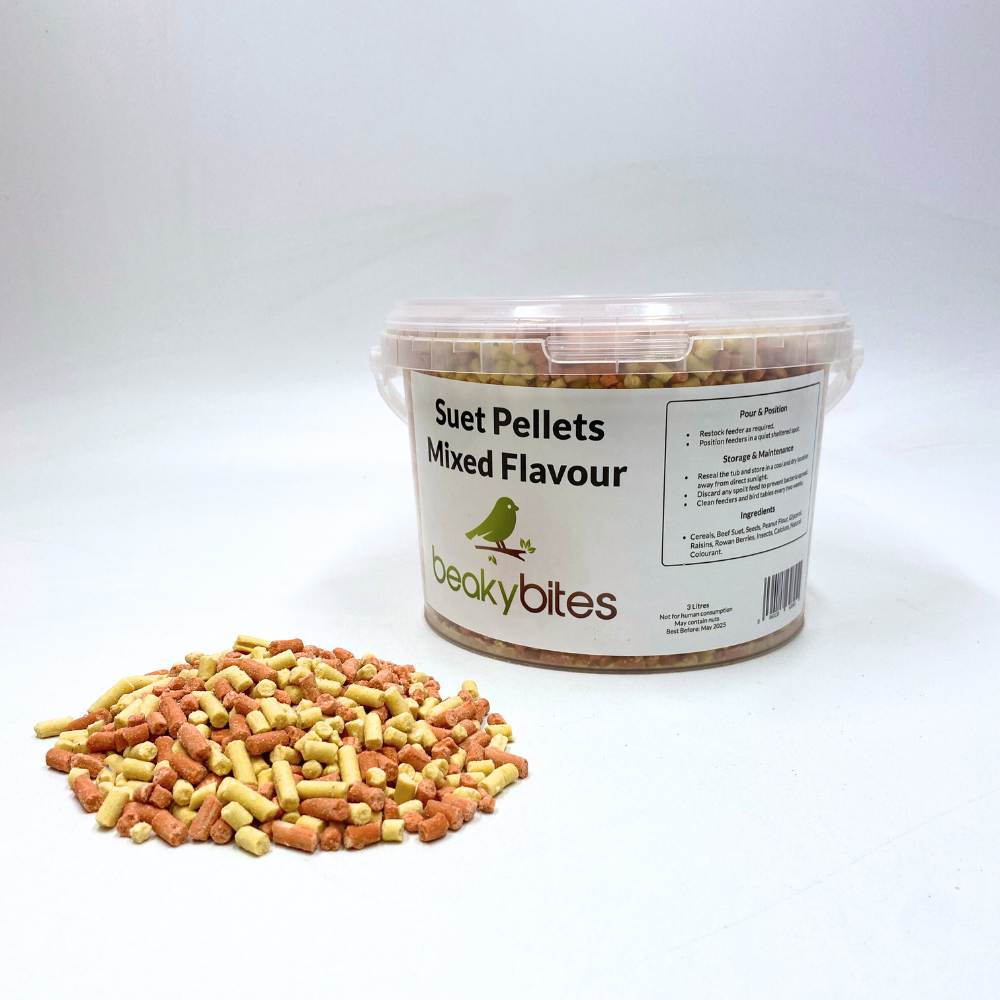 Top 20 Small Birds of England | Identification Guide