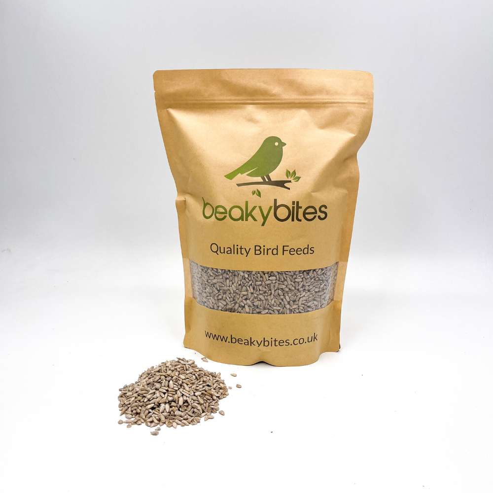 BeakyBites Magpie Bird Facts