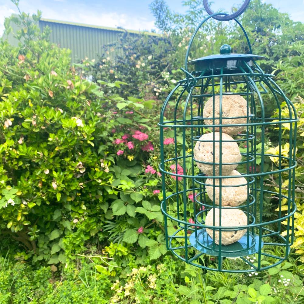 Squirrel Proof Fat Ball Feeder for Wild Birds Cage Design Garden Use