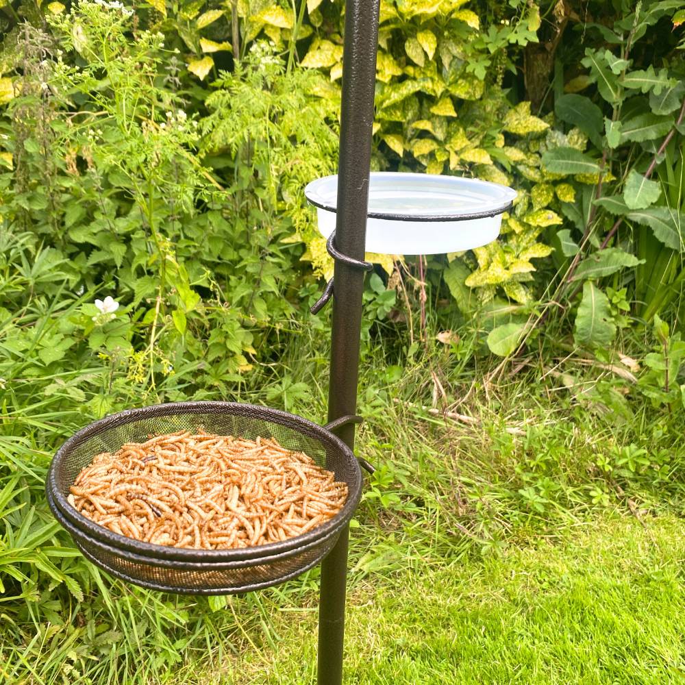 Bird Feeding Station with Hooks and Tray for Wild Garden Birds