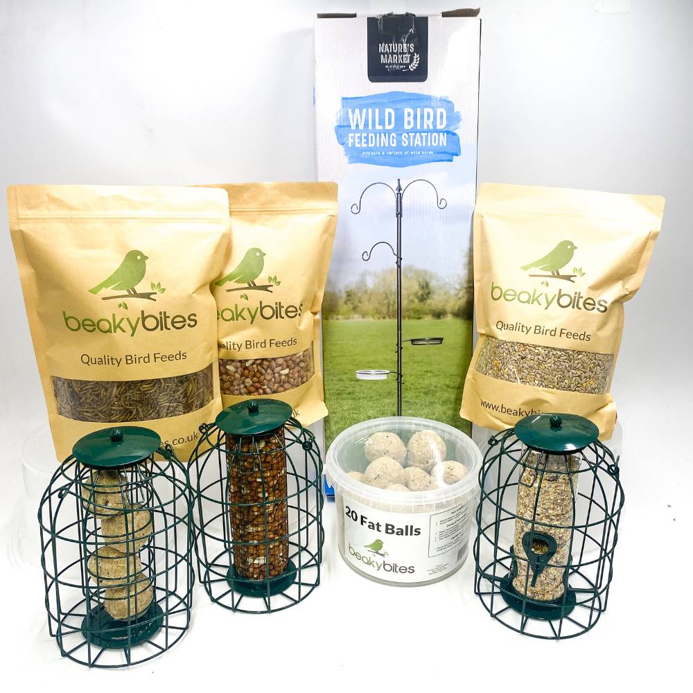 Complete Bird Feeding Setup bundle with feeders seeds and accessories deals