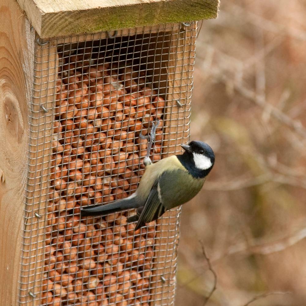 BeakyBites Peanuts for Birds 25kg - Bulk Bag - Free P&P - Bird Feed