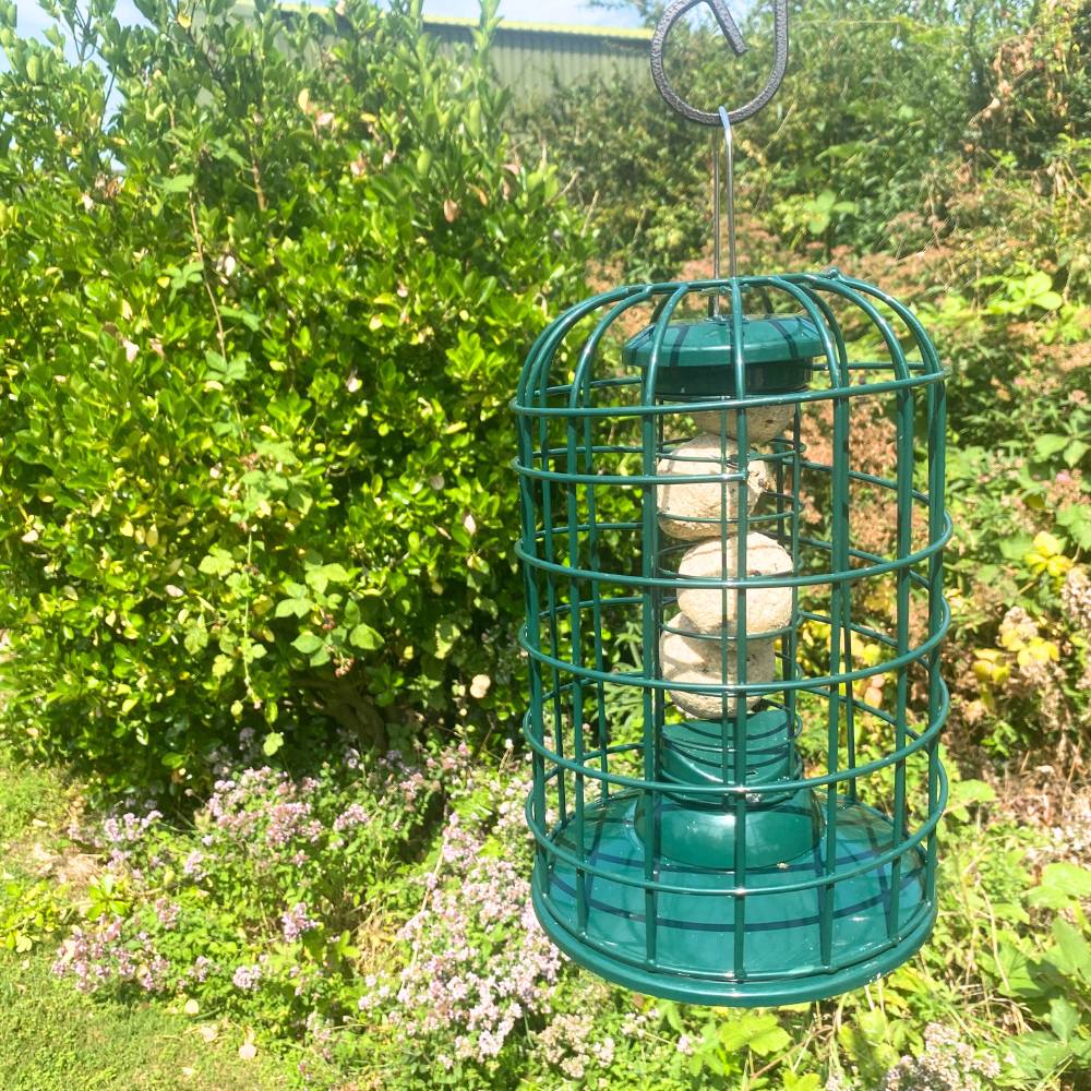 Guardian Squirrel Proof Fat Ball Feeder for Wild Birds with Protective Cage