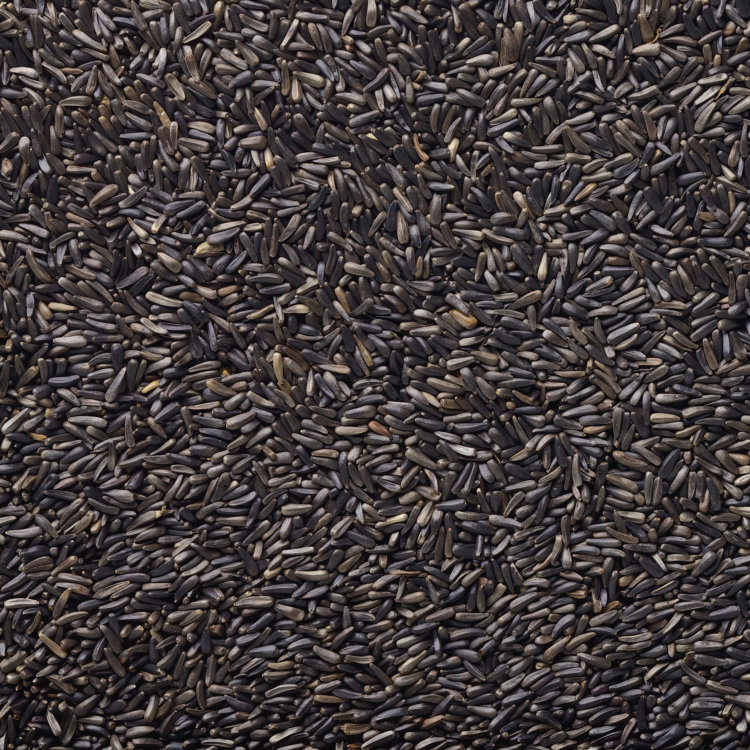 BeakyBites Niger Seeds 12.55kg - Bulk Bag - Bird Seed