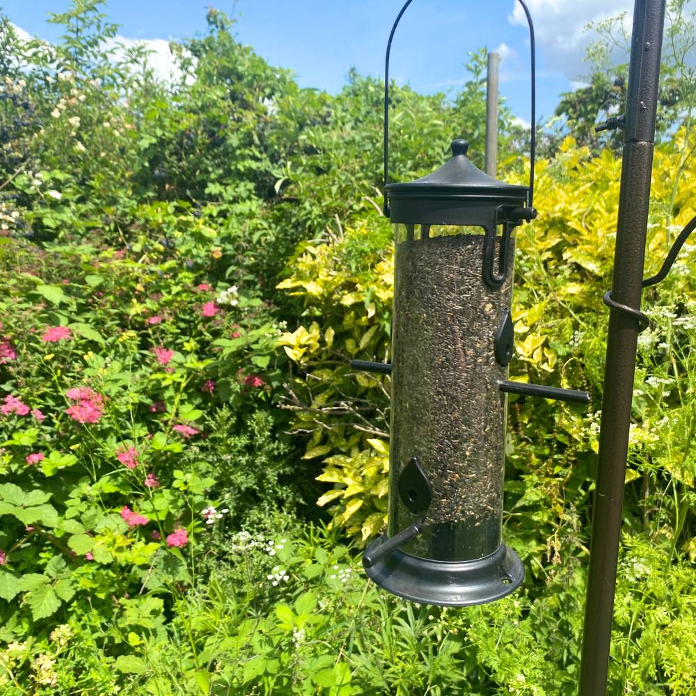 BeakyBites Flip Top Niger Seed Feeder