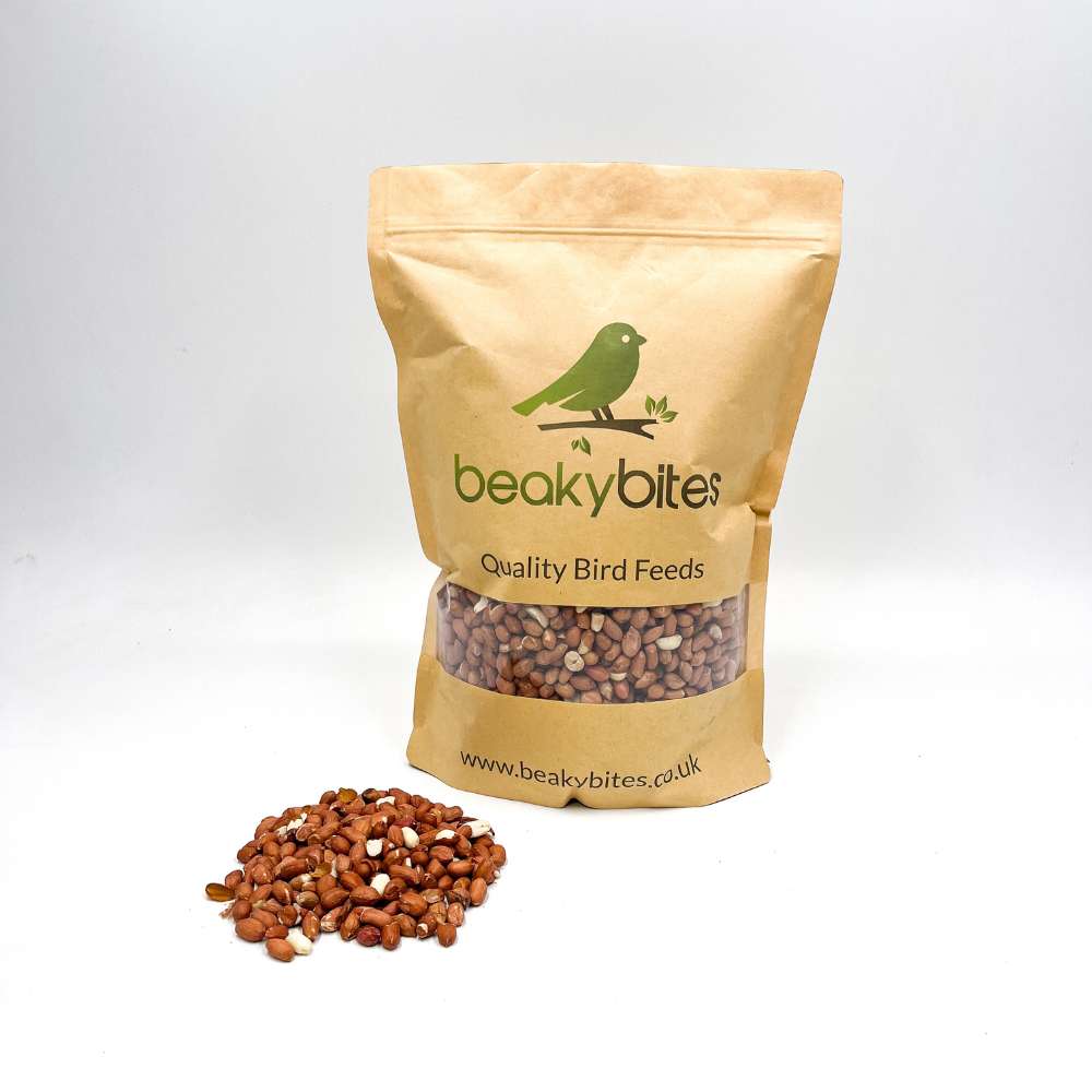 BeakyBites Bird Feeder Filler Bundle - Bird Feeds