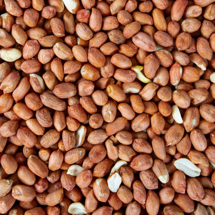 BeakyBites Peanuts for Birds 25kg - Bulk Bag - Free P&P - Bird Feed