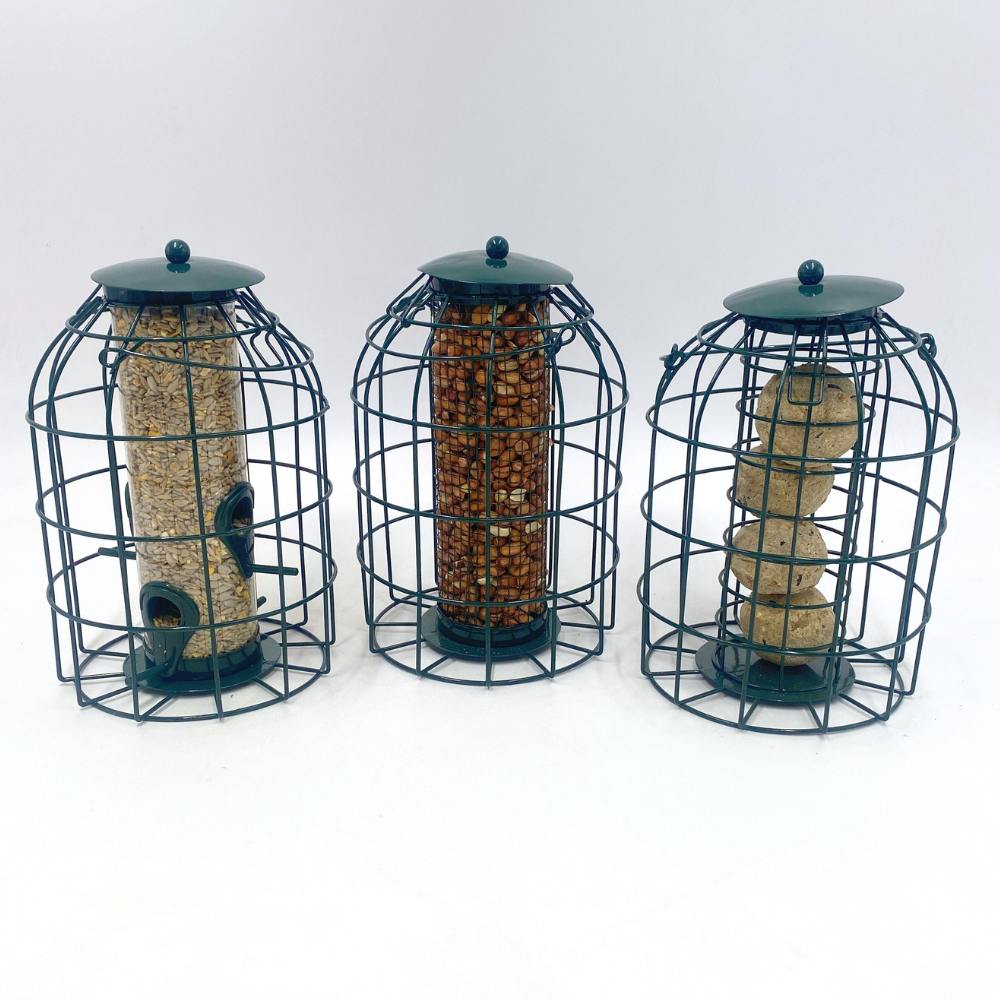 6 Month Bulk Bird Food Subscription for Birds | Best Monthly Bird Feed