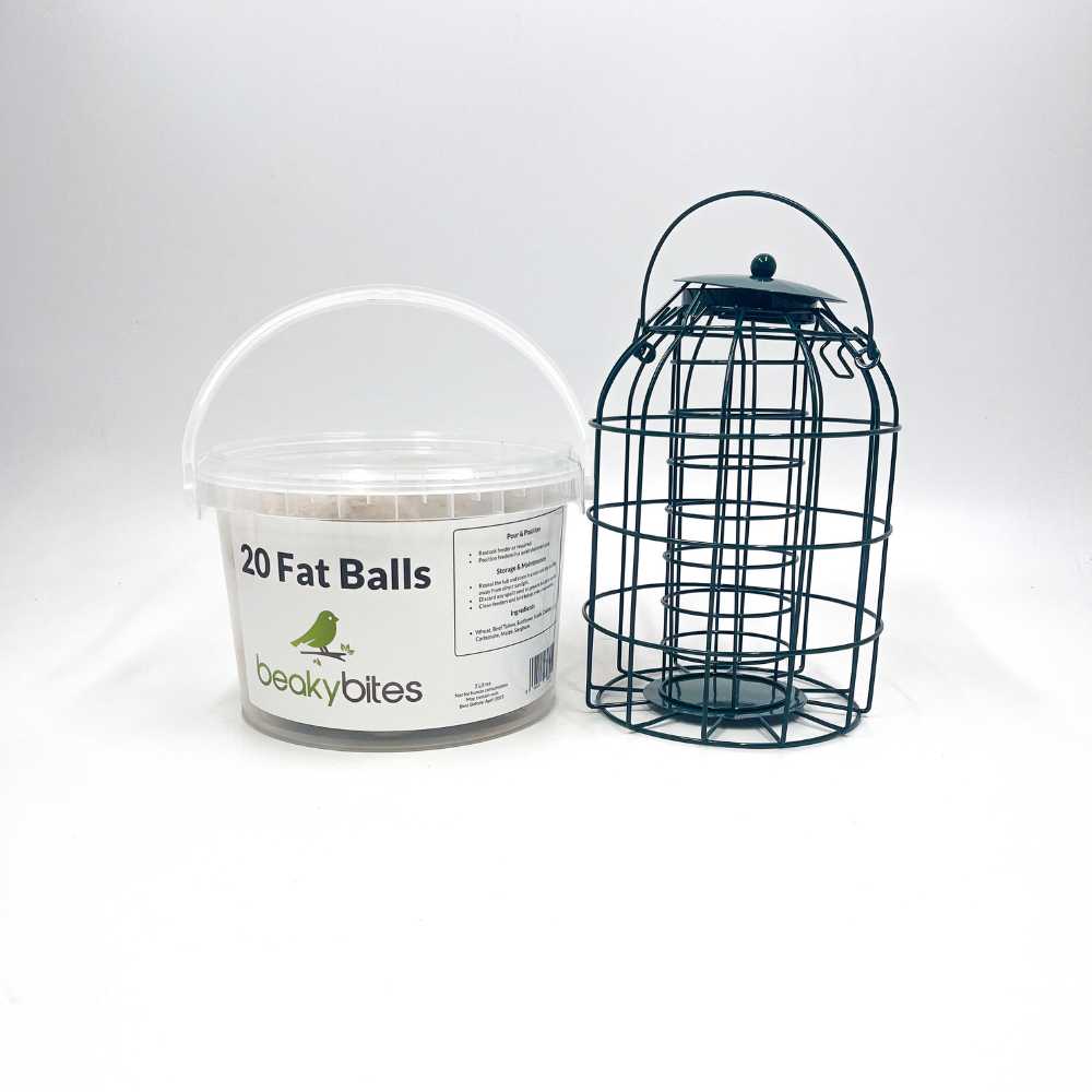 Squirrel Proof Fat Ball Feeder with 20 Fat Balls for Garden Birds