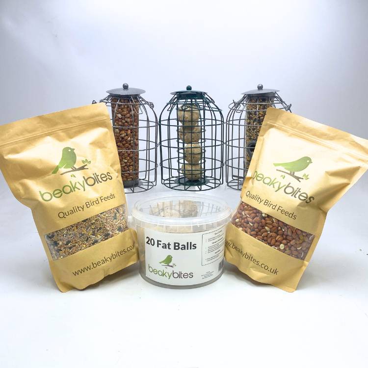 Squirrel Resistant Feeder & Bird Feed Bundle - BeakyBites