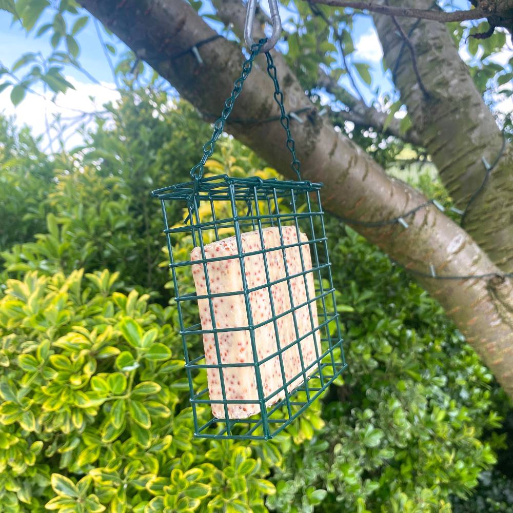 Beaky Bites Suet Block Feeder