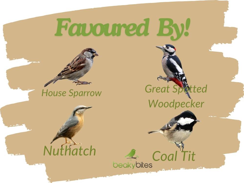 BeakyBites Peanuts for Birds 25kg - Bulk Bag - Free P&P - Bird Feed